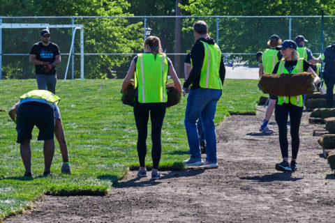 Home - Toro Grounds for Success